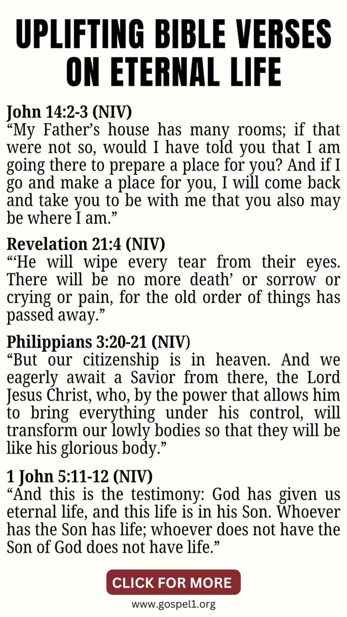 7 Bible Verses About Heaven and Eternal Life - Gospel1.org