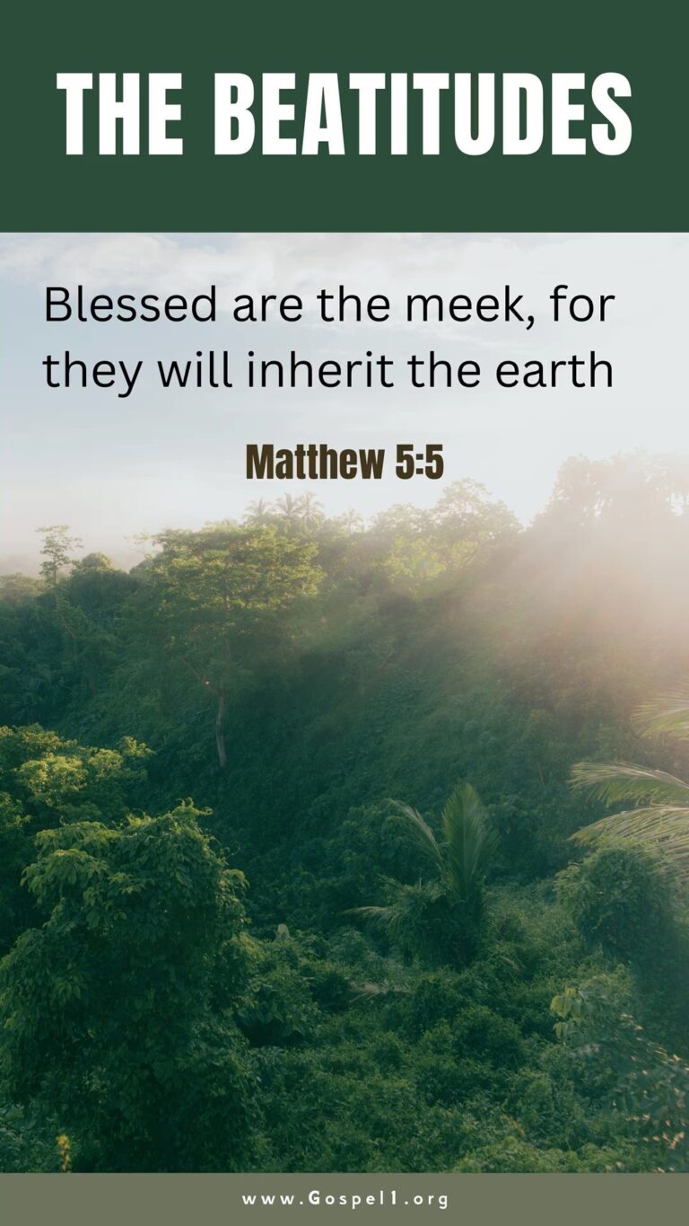 Understanding the Beatitudes in the Bible? A Detailed Guide - Gospel1.org